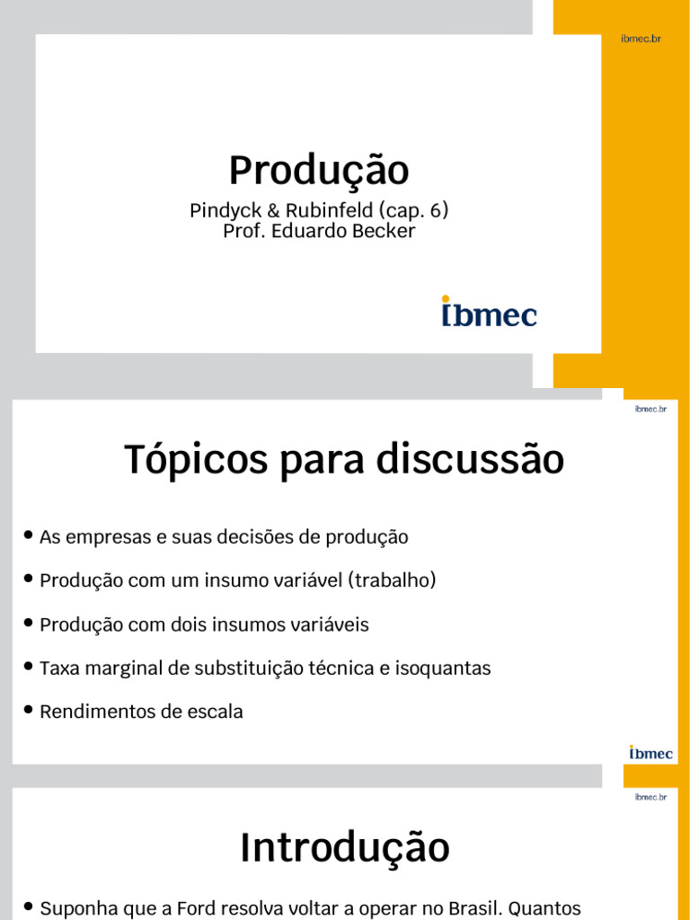 Produ o - Pindyck Cap. 6 - Prof. Eduardo Becker | PDF