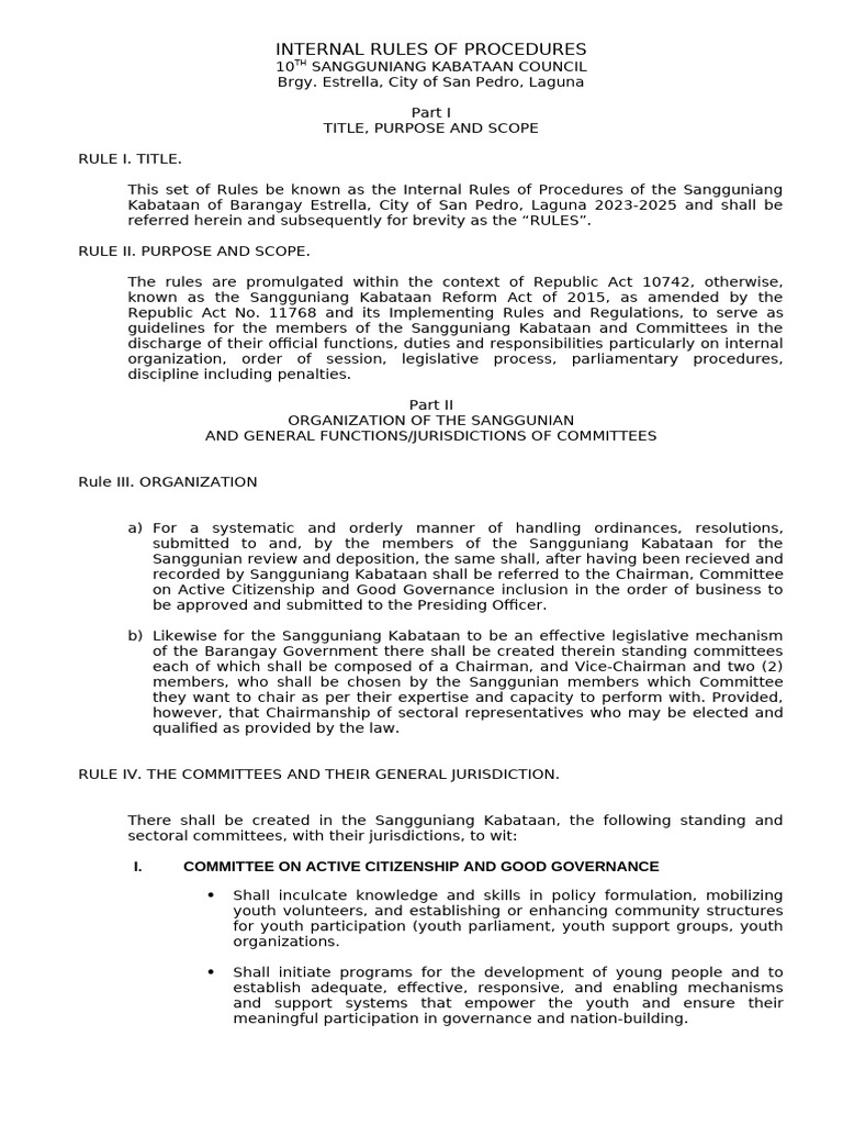 Internal Rules of Procedures | PDF