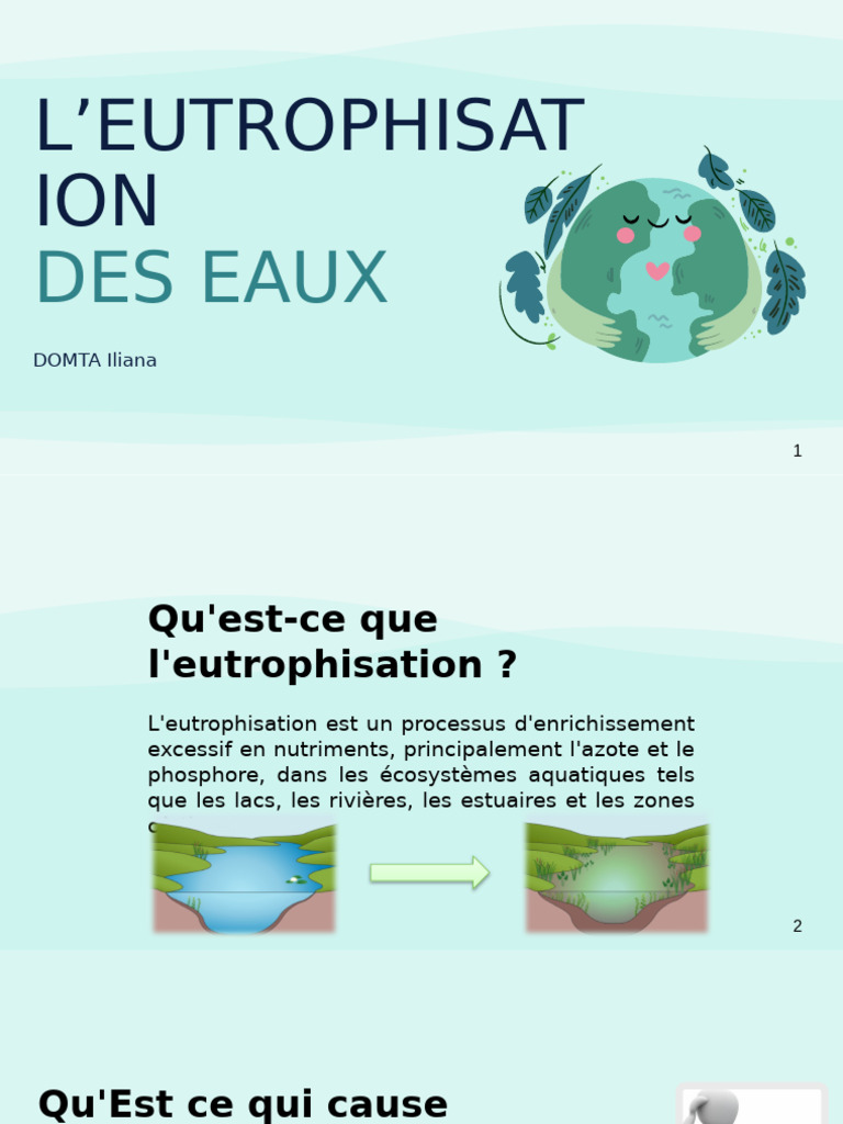 Eutrophisation de L'eau | PDF