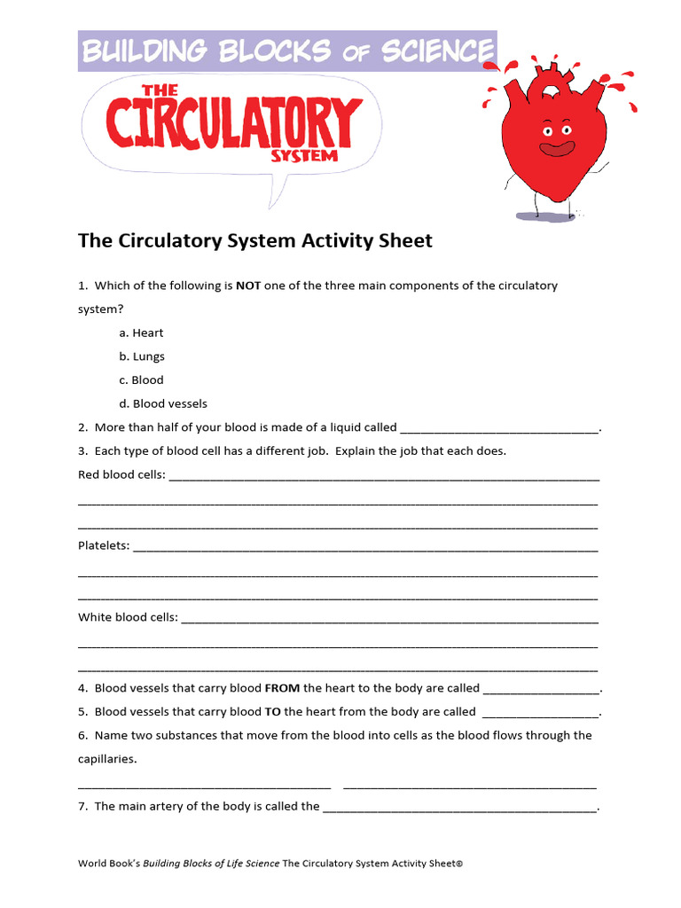 Circulatory Activity Sheet | PDF