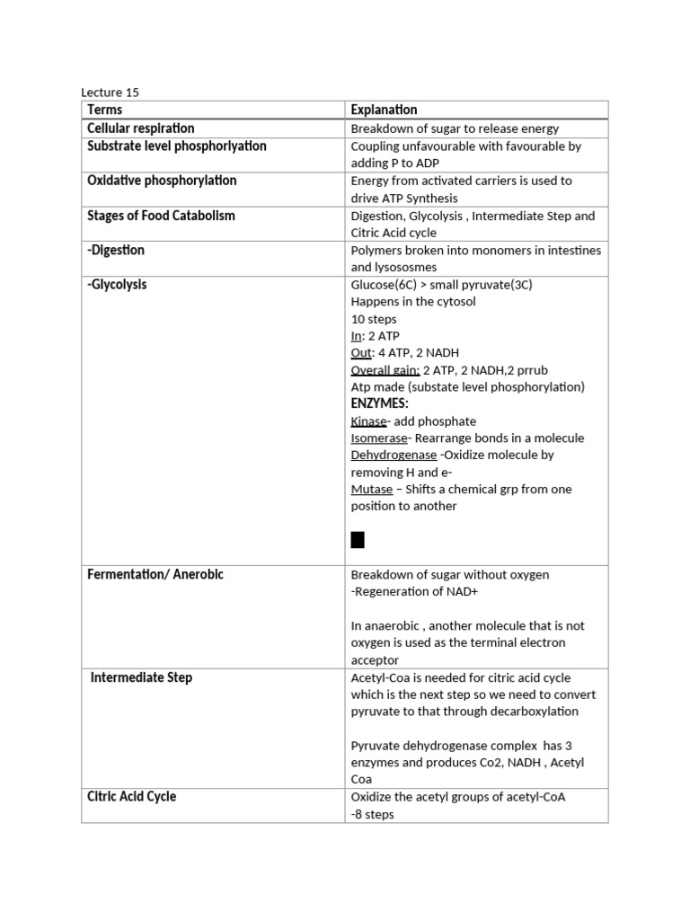 Cell Bio Terms | PDF