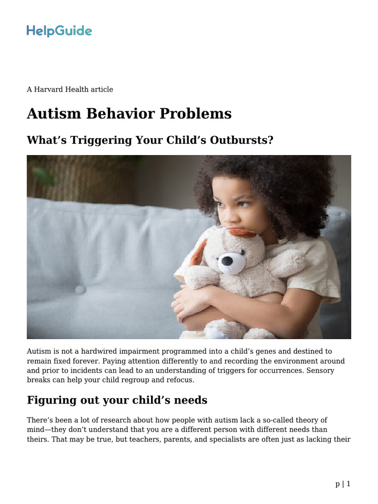 Autism Behavior Problems | PDF