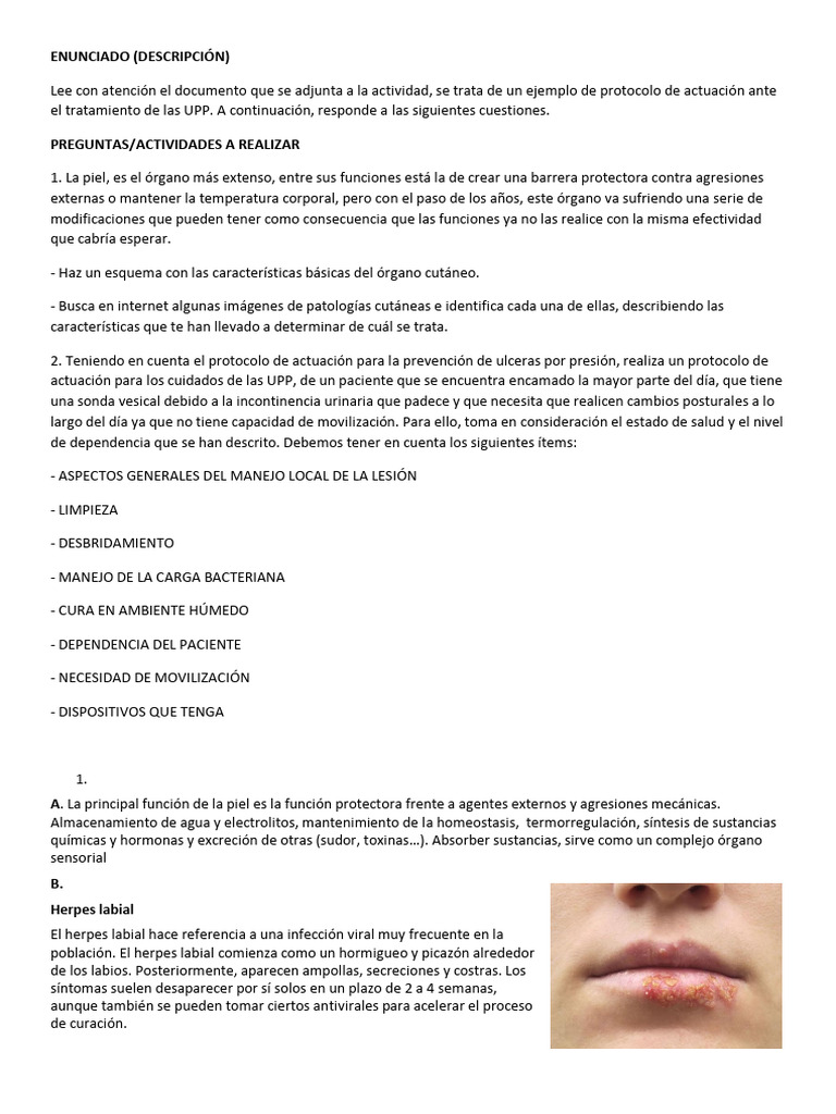 MF1017 - 2 Unidad 1 Act2 | PDF