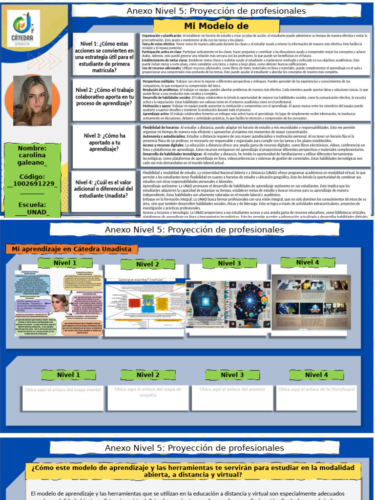 Anexo 5 - Nivel 5 Modelo de Aprendizaje 19-05-24 | PDF