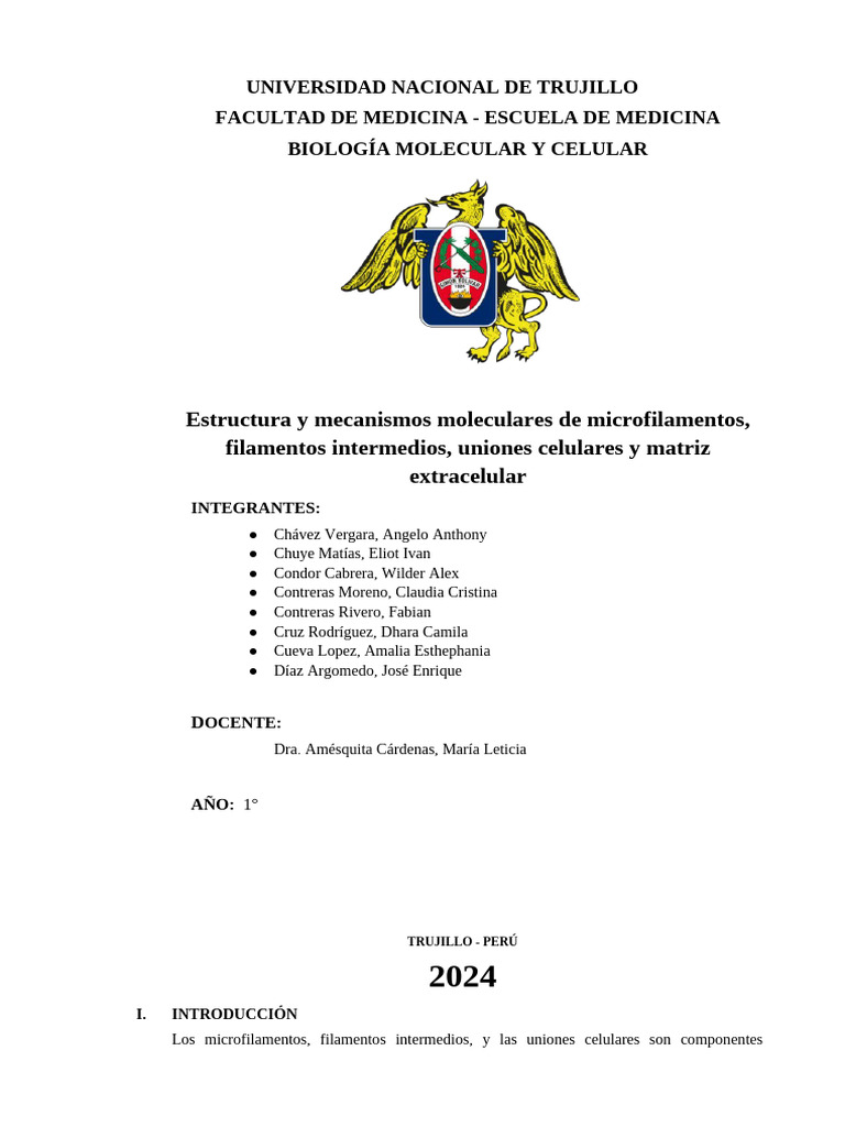 Informe Prático S10 | PDF