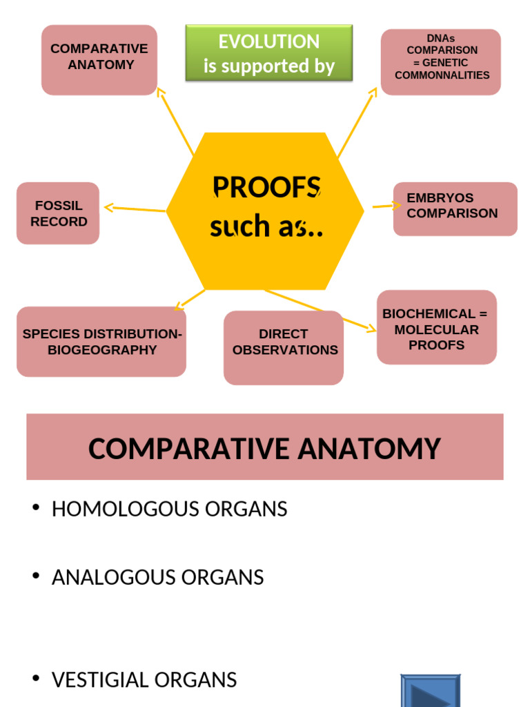 Proofs of Evolution | PDF