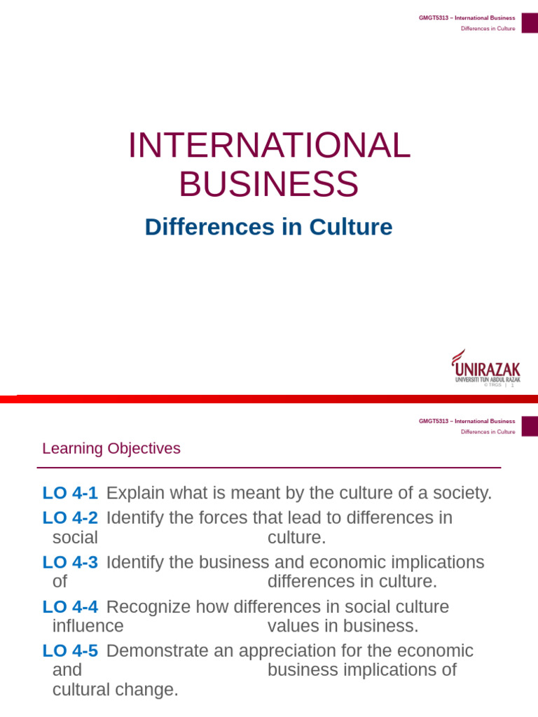 International Business - Differences in Culture | PDF