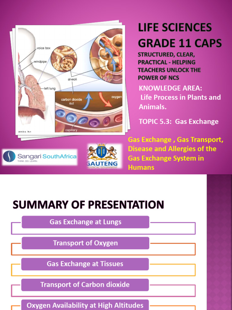PP22. Human Exchange System | PDF