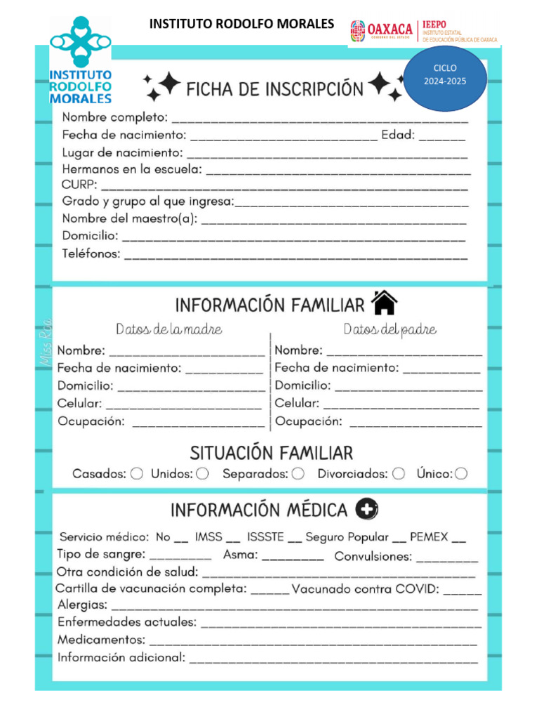 Ficha Descriptiva 2024 - 2025 Irm | PDF