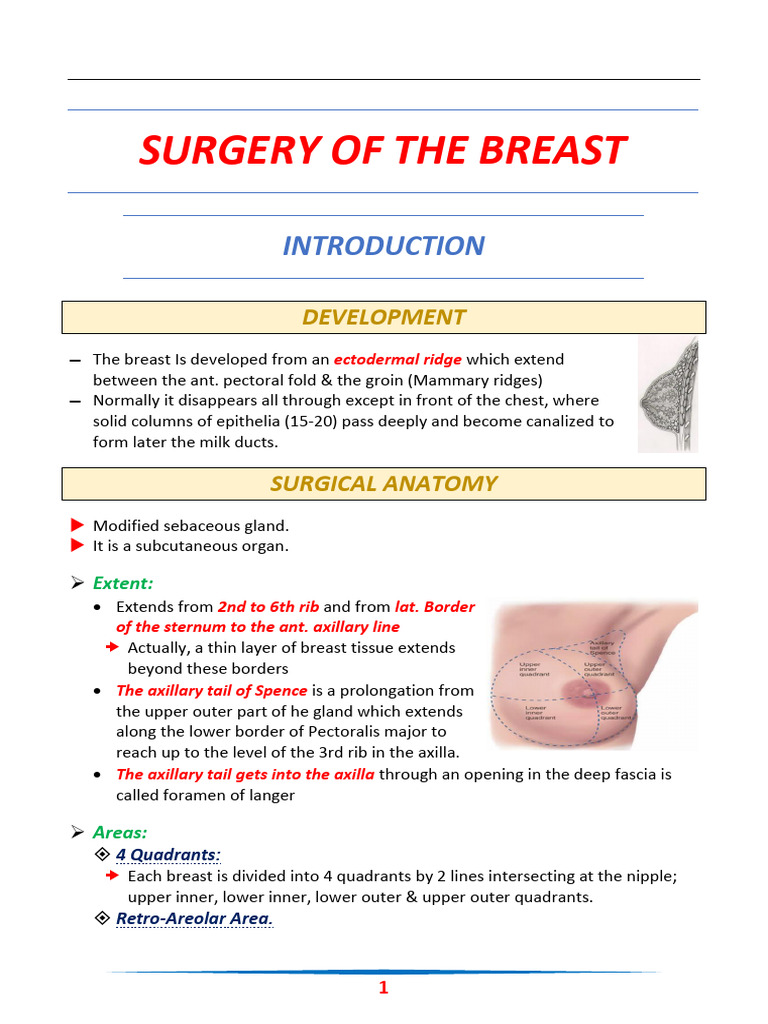 Breast | PDF
