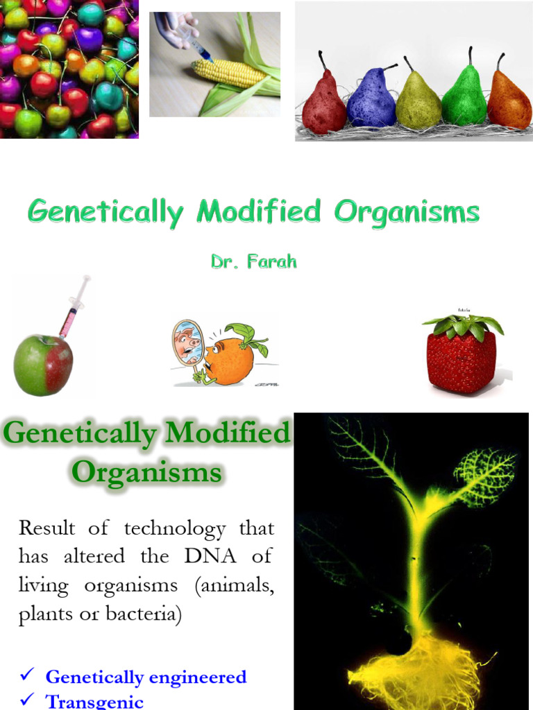Lec. GMOs | PDF