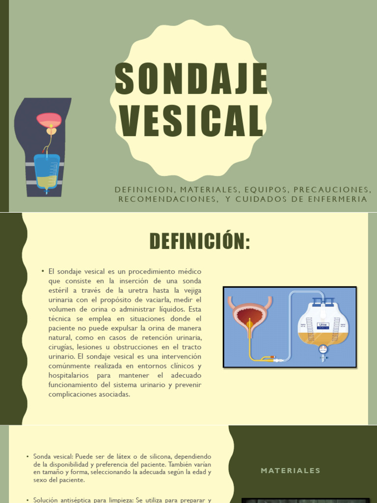 Sondaje Vesical Diapositivas | PDF