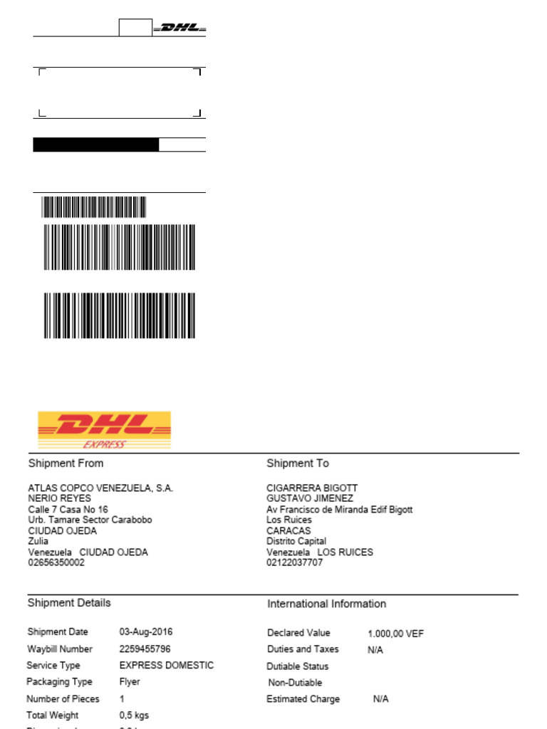 Guia DHL Bigott | PDF