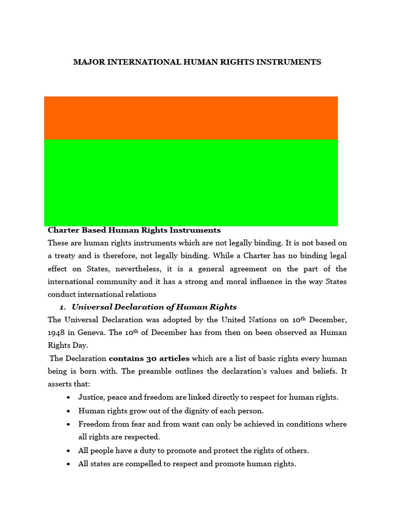 G11 Cap 3 Major Human Rights INSTRUMENTS | PDF