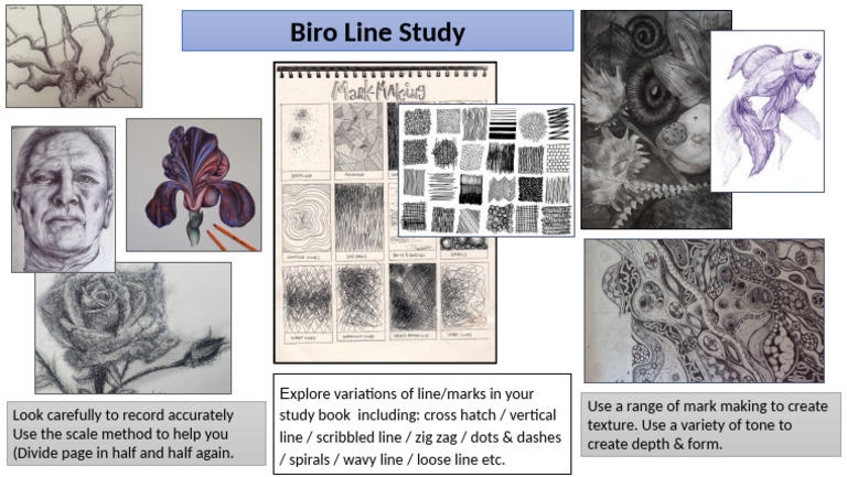 Year 11 Biro Line Study | PDF