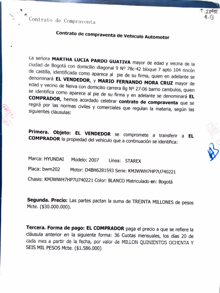 Mario Mora 2024 | PDF