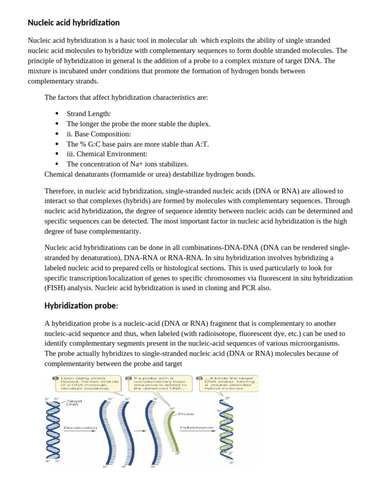 Nucleic Acid Hybridization | PDF