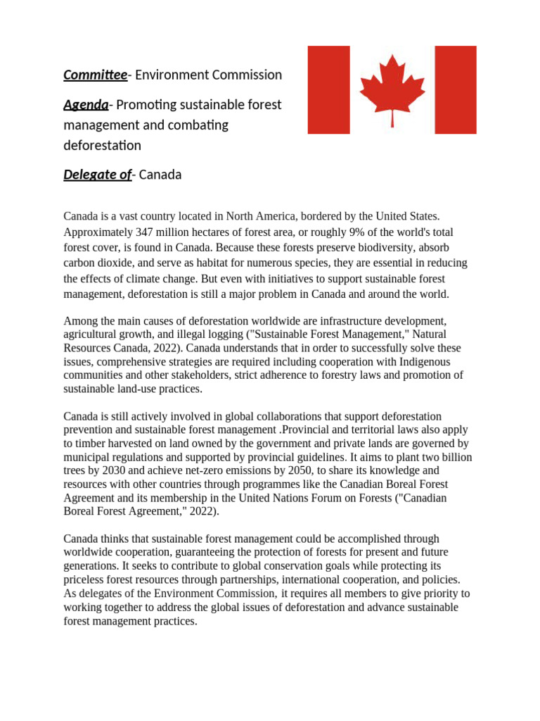 MUN (Position Paper) | PDF