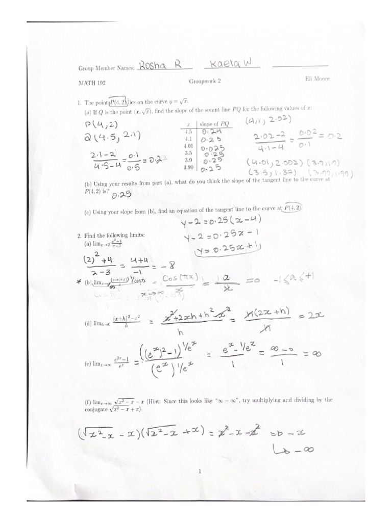Group Member Names | PDF