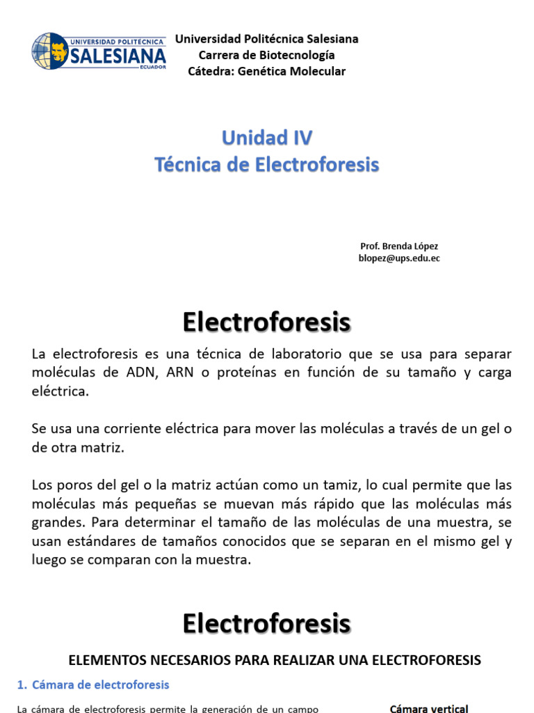 Practica. Electroforesis | PDF