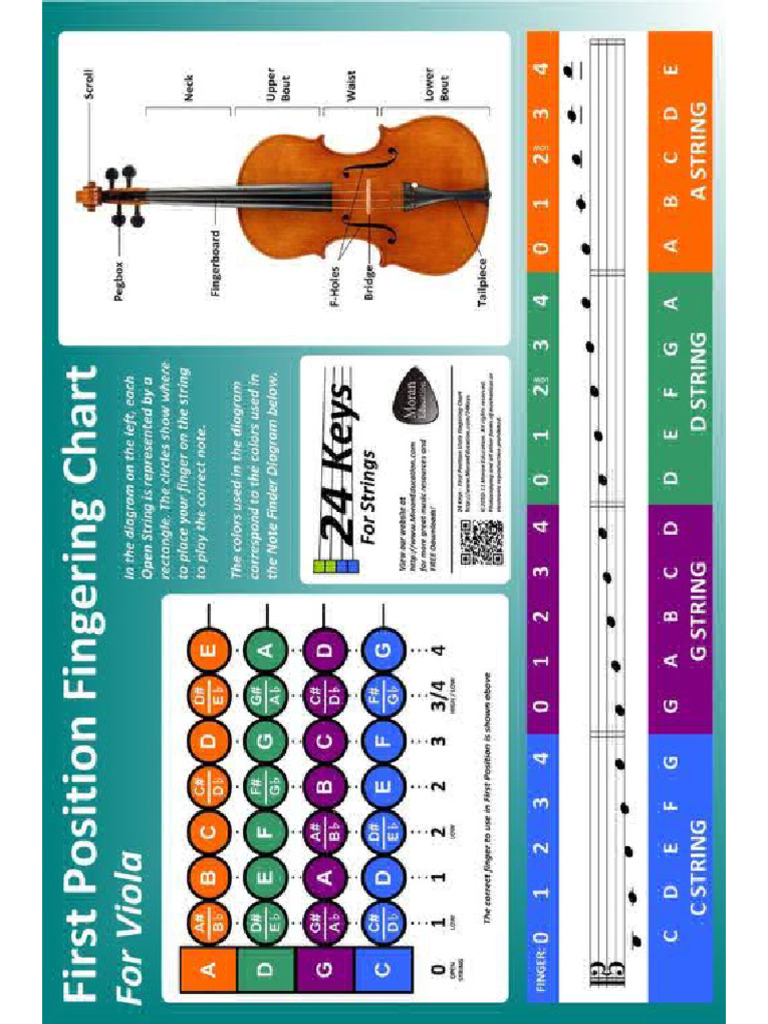 Viola First Position Fingering Chart | PDF
