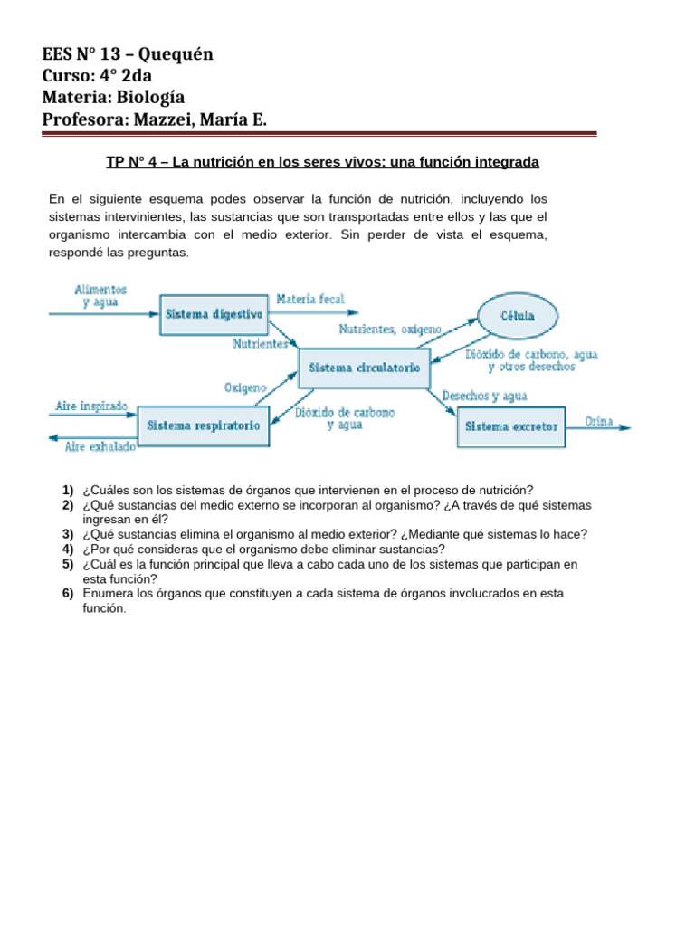 Trabajo Práctico #4 La Función de Nutrición | PDF