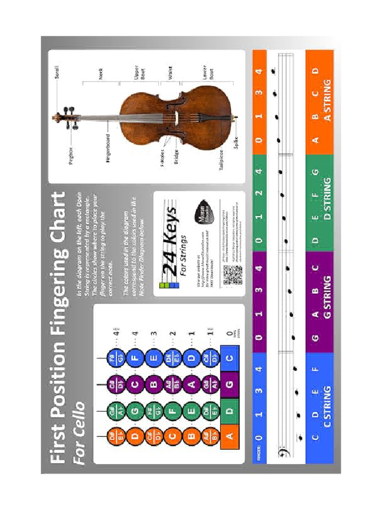 First Position Fingering Chart Cello | PDF