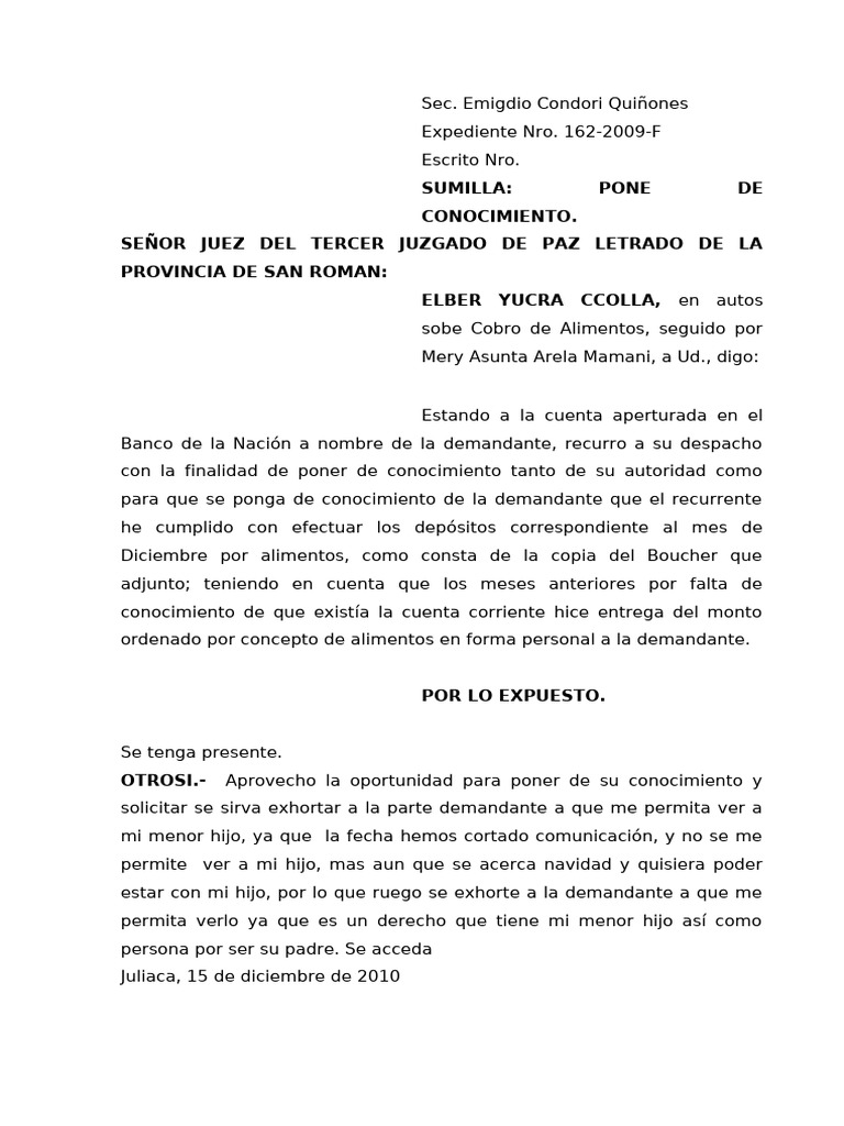 Adjunta Documento Lily Chata | PDF