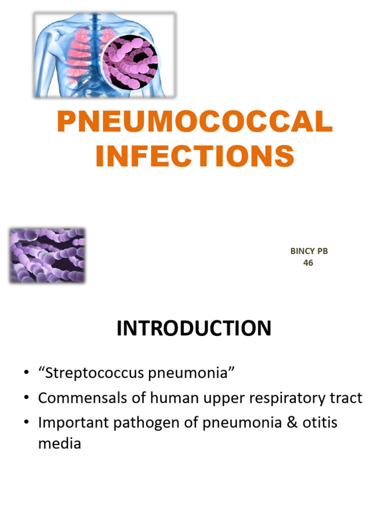 BINCY P B - Pneumococcal Infections | PDF | Immunology | Wellness