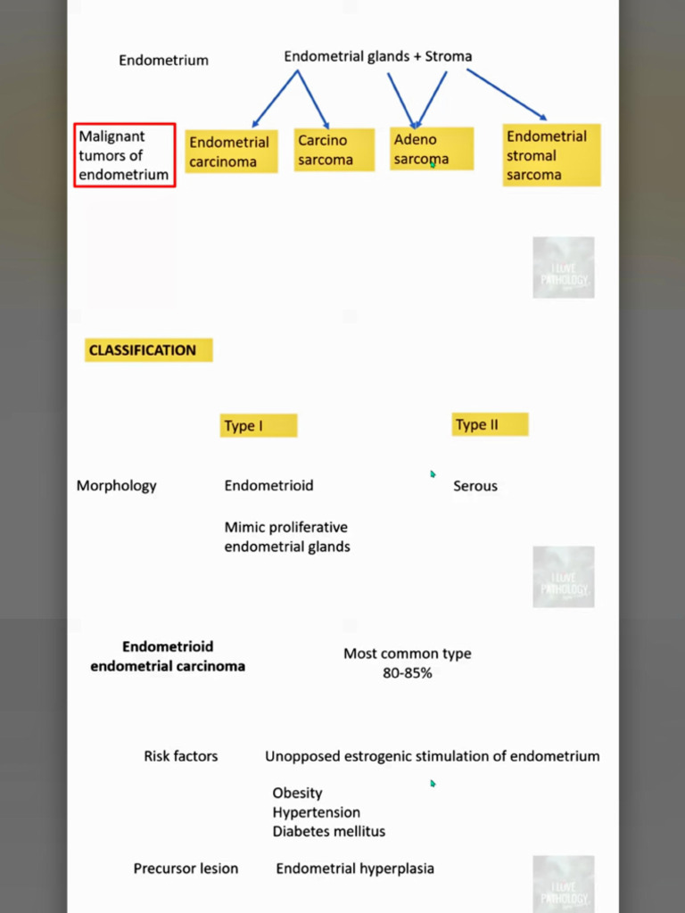 Ca Endometrium | PDF