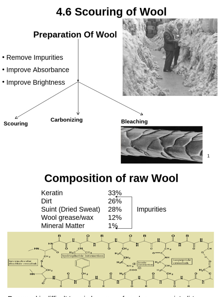 Scouring of Wool | PDF