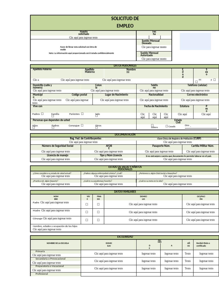 Formato Solicitud de Empleo | PDF