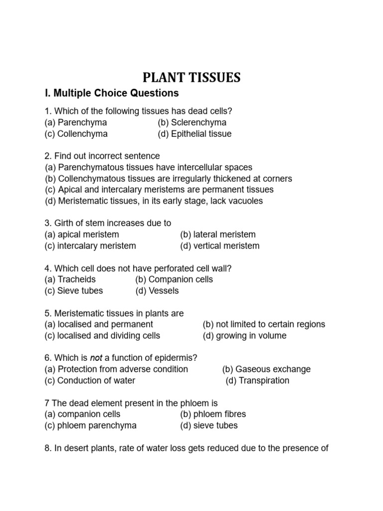 Plant Tissues Worksheet | PDF