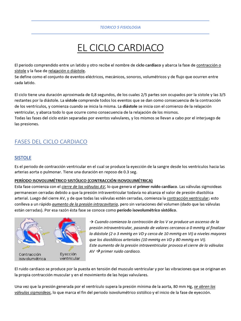FISIOLOGÍA 5 - Ciclo Cardíaco | PDF
