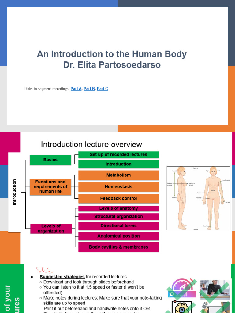 Lecture 1 Introduction To The Human Body | PDF | Anatomical Terms Of ...
