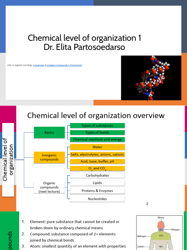 Chemical Organization in Biology: Overview | PDF | Chemical Bond ...
