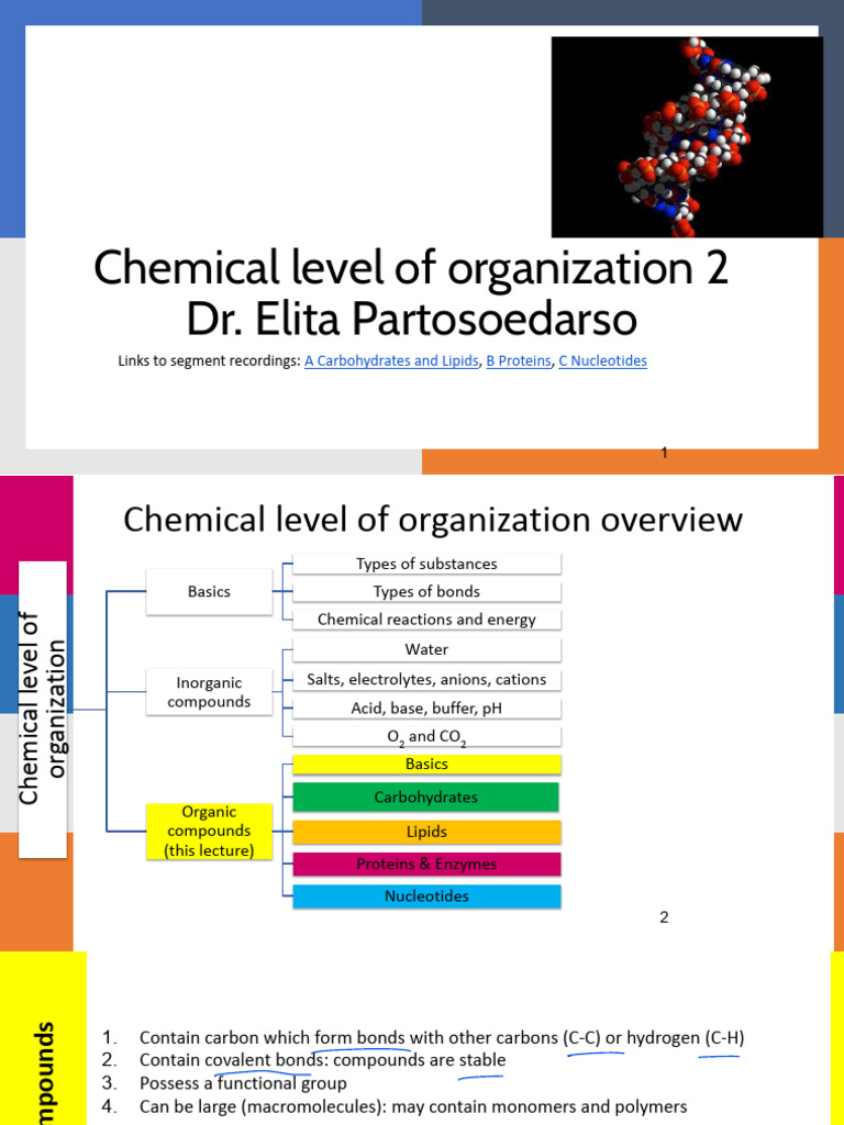 Lecture 2 Chemical Level of Organization 2 | PDF | Dna | Nucleotides