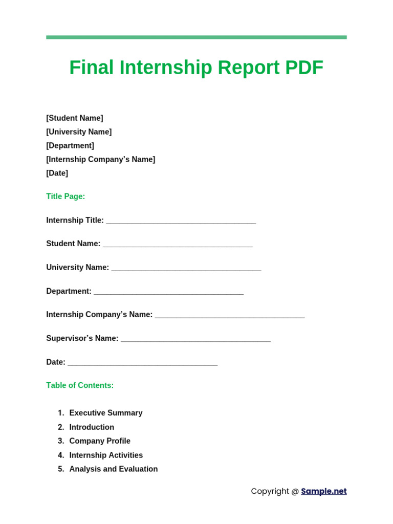 Final Internship Report PDF | PDF