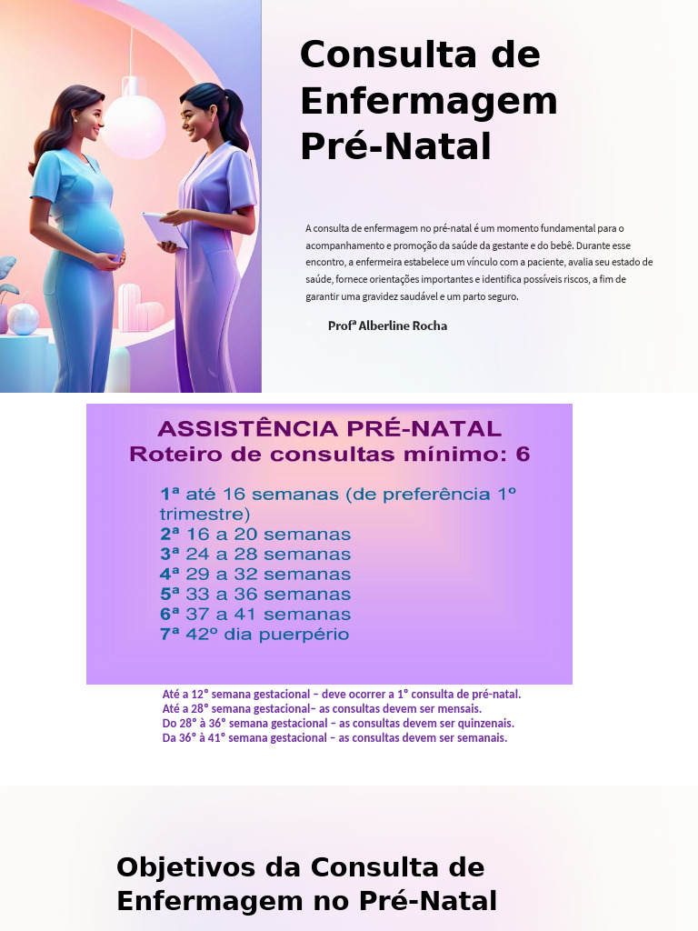 02 Consulta de Enfermagem No Pre Natal | PDF