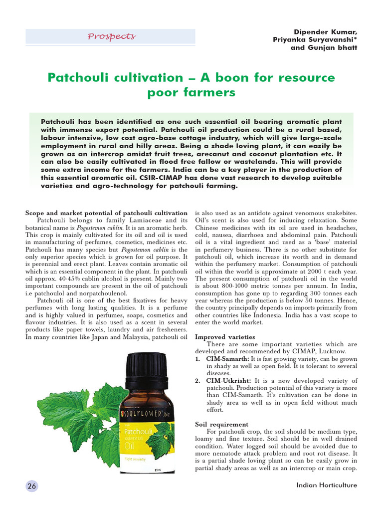 Ojsadmin, 06 Patchouli Cultivation Â " A Boon For Resource | PDF