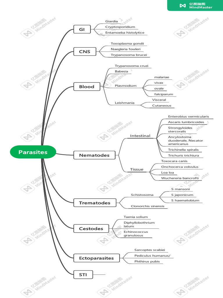 Parasites Flow Chart | PDF