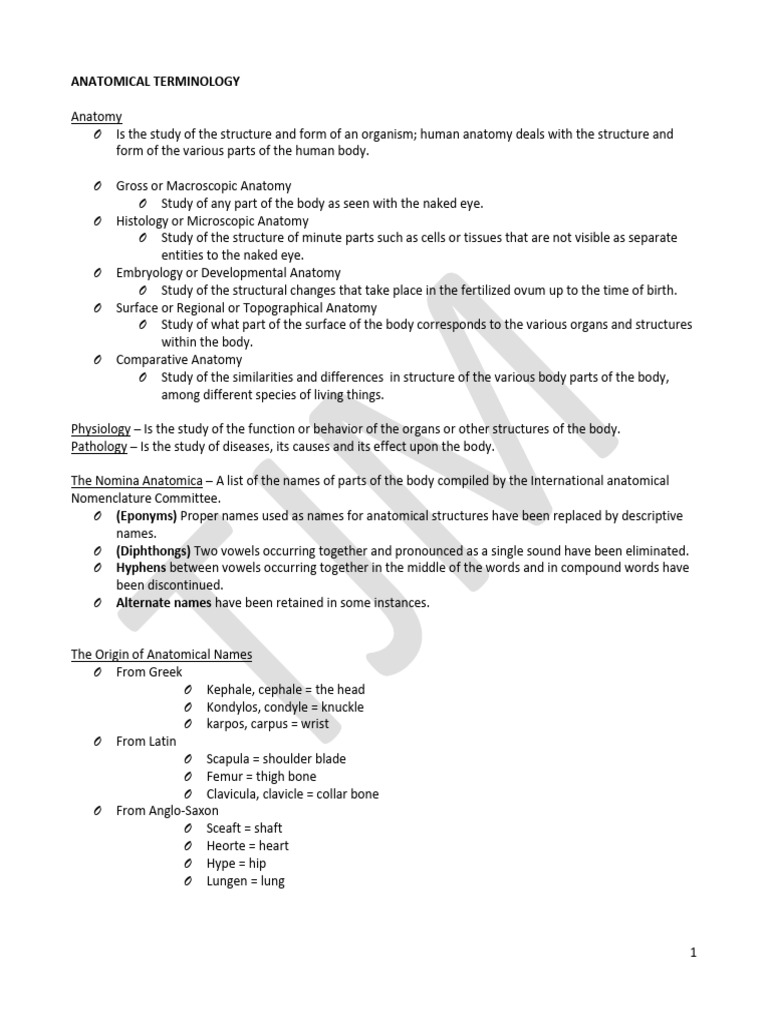 1 - 2021 Anatomical Terminology | PDF