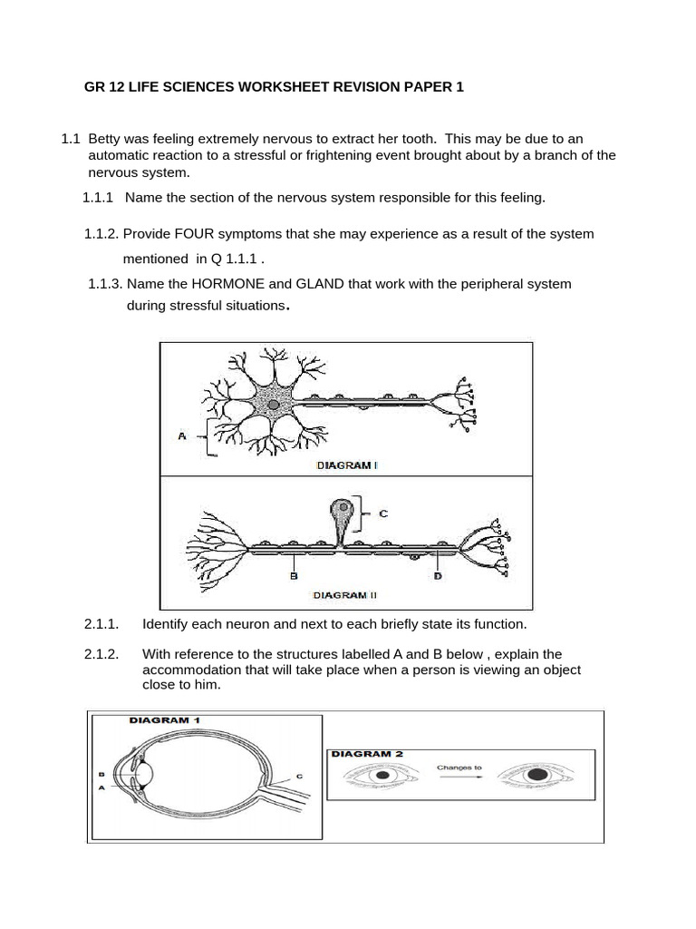 Hr-Worksheet Revision Paper 13333333366 | PDF