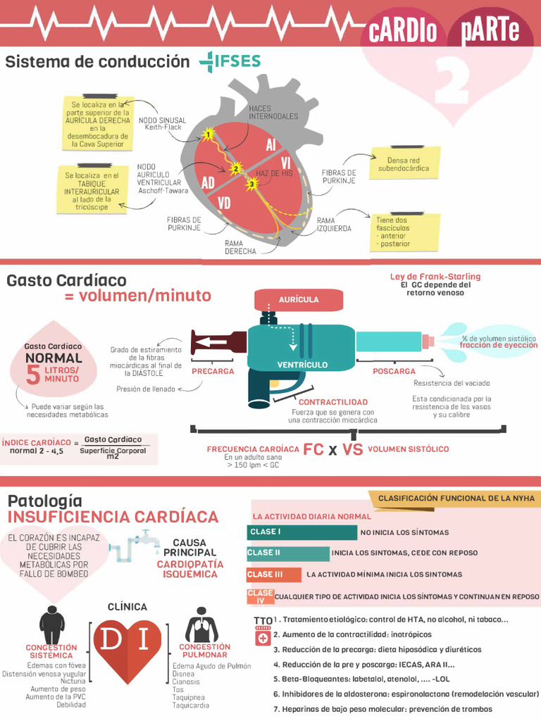 CARDIO PARTE 2 | PDF