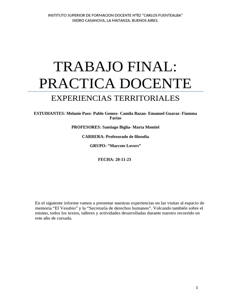 Trabajo Final Practica | PDF