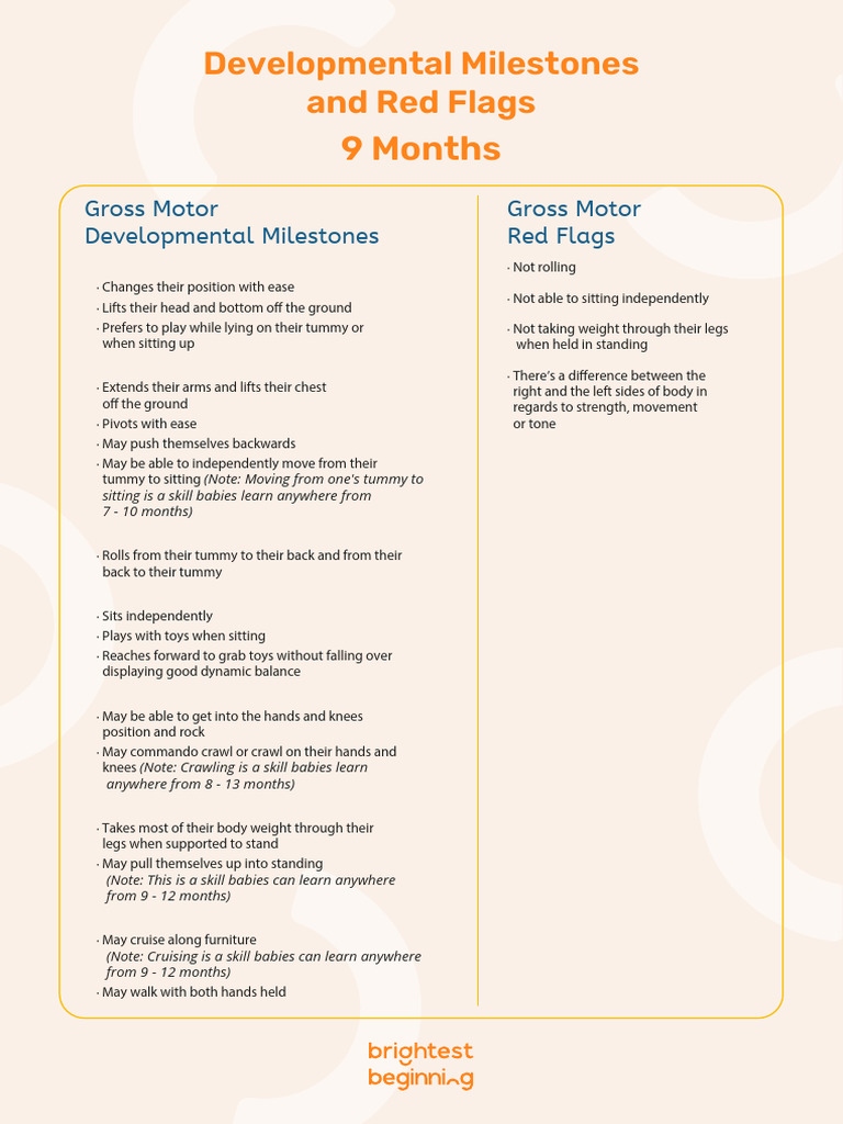9 Month Developmental Milestones | PDF