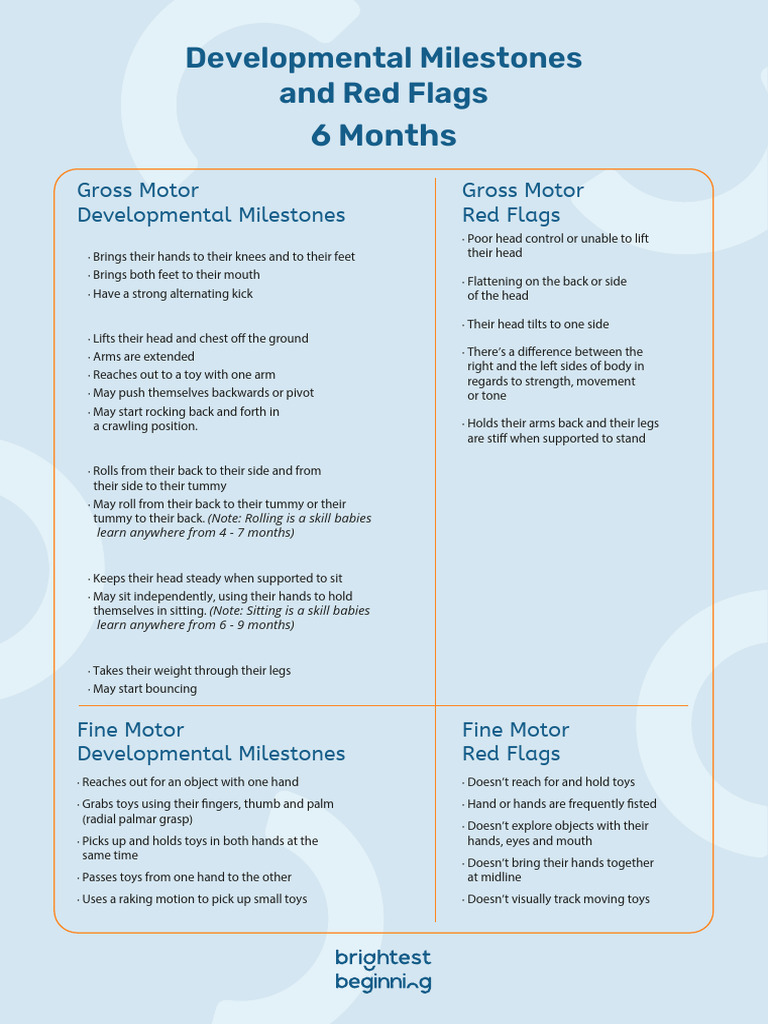 6 Month Developmental Milestones | PDF
