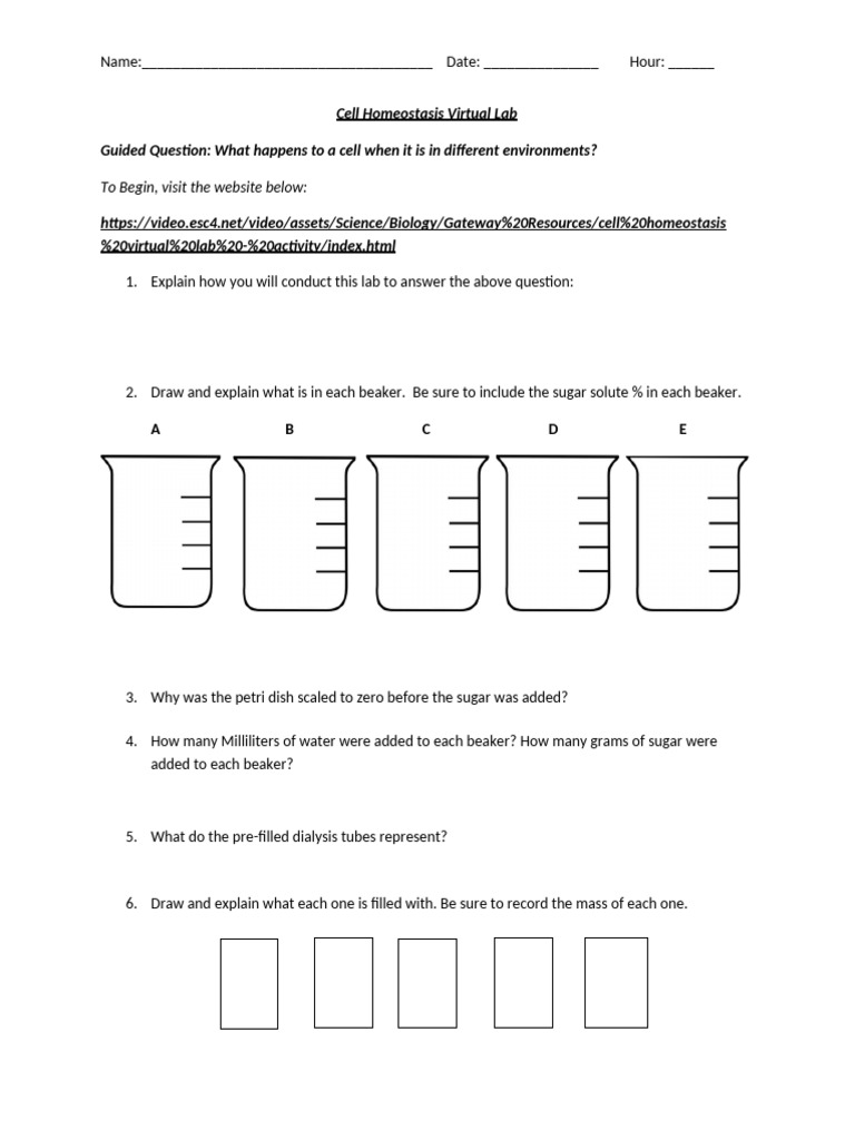 Cell Homeostasis Virtual Lab | PDF