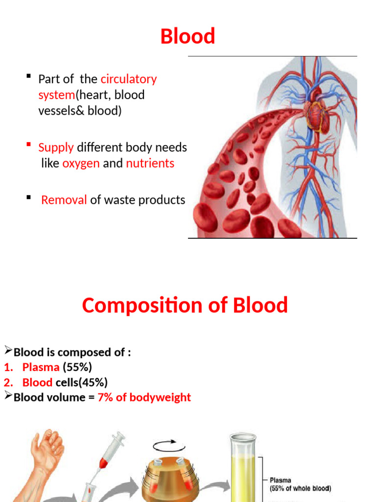 Blood | PDF