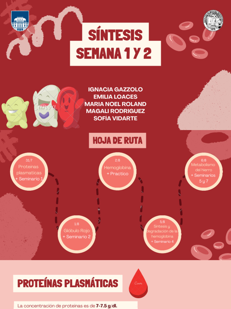Sintesis Semana 1 y 2 | PDF